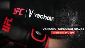VeChain Teams Up with UFC to Tokenize Fighter Gloves